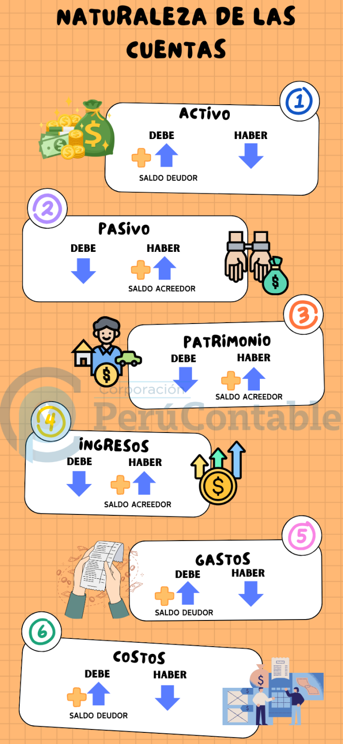 ¿Cuál es la naturaleza contable de las cuentas? | Contabilidad
