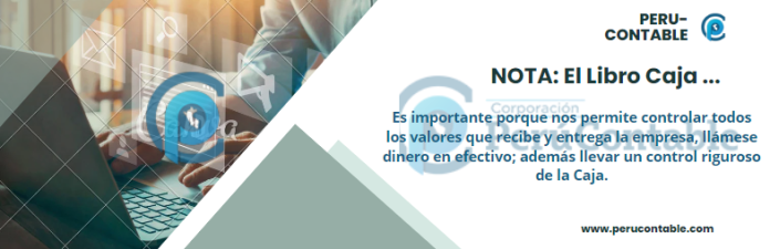 Libro Caja y Libro Caja Chica: Definición, importancia y composición ...