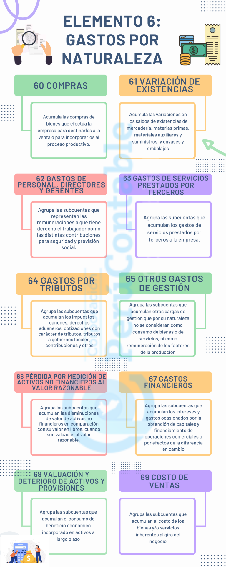 Elemento 6: Gastos por Naturaleza - Casos práctico | Contabilidad