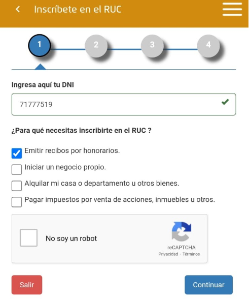 Empresas: Conoce los pasos y requisitos para inscribirte en el RUC ...