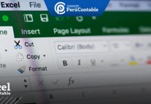 CARÁCTER COMODÍN EN EXCEL | Excel Contable