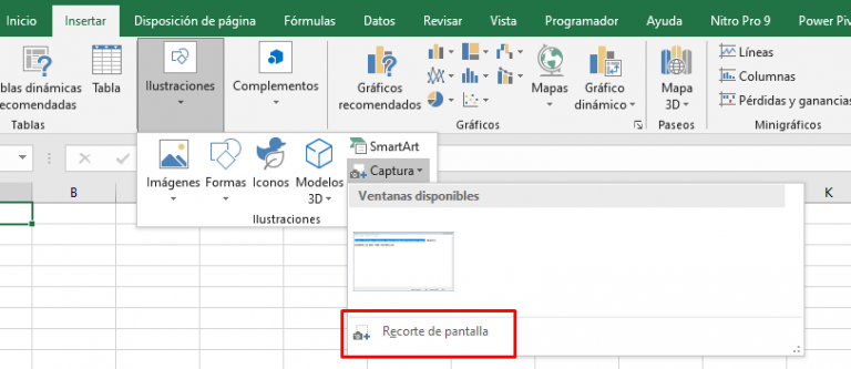 ¿Cómo tomar una captura de pantalla de Excel? | Excel Contable