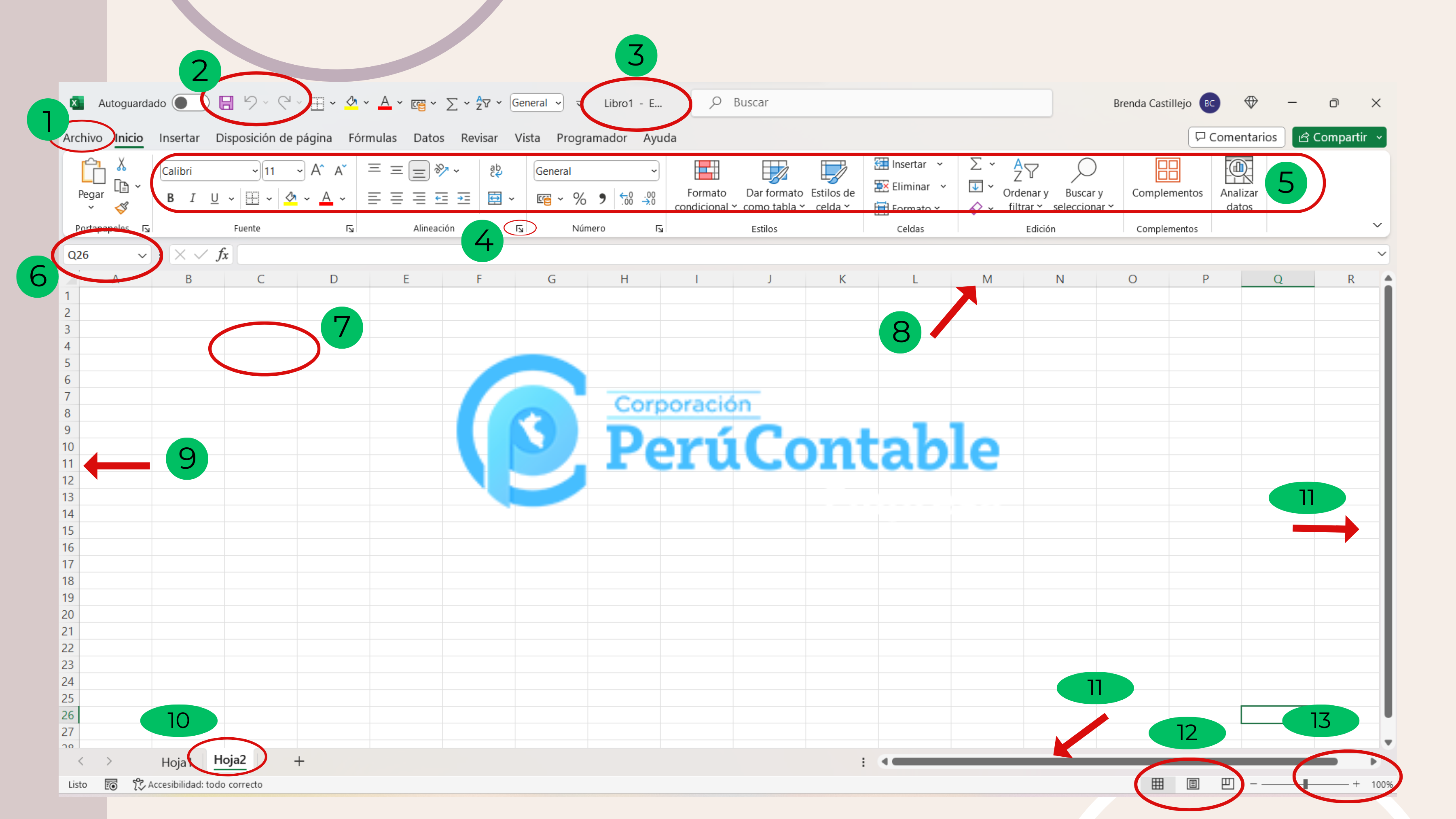 Aprenda a usar los Elementos de la Pantalla Inicial de Microsoft Office Excel 2016 | Excel Contable