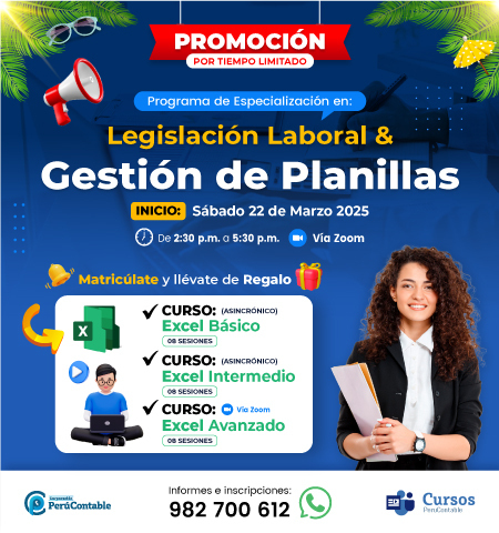 CARÁCTER COMODÍN EN EXCEL | Excel Contable