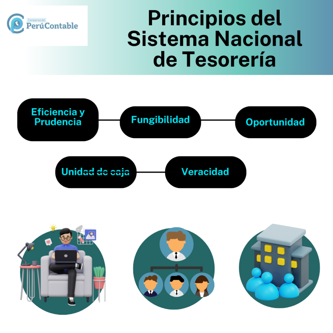 Sistema Nacional de Tesorería: ¿Cuáles son sus principios básicos ...