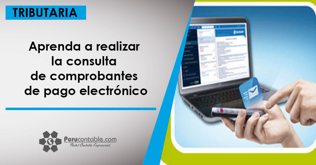 Aprenda a realizar la consulta de comprobantes de pago electrónico ...