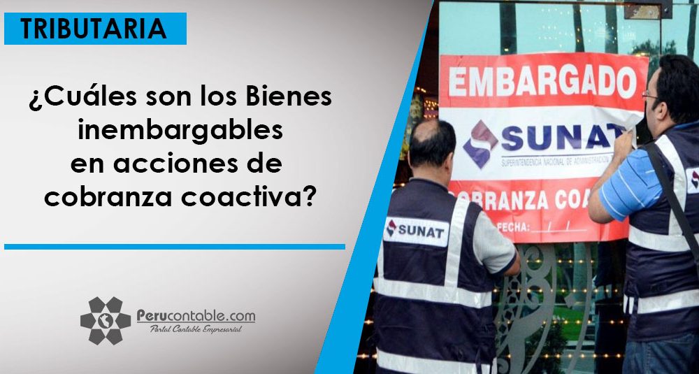 ¿Cuáles son los Bienes inembargables en acciones de cobranza coactiva ...